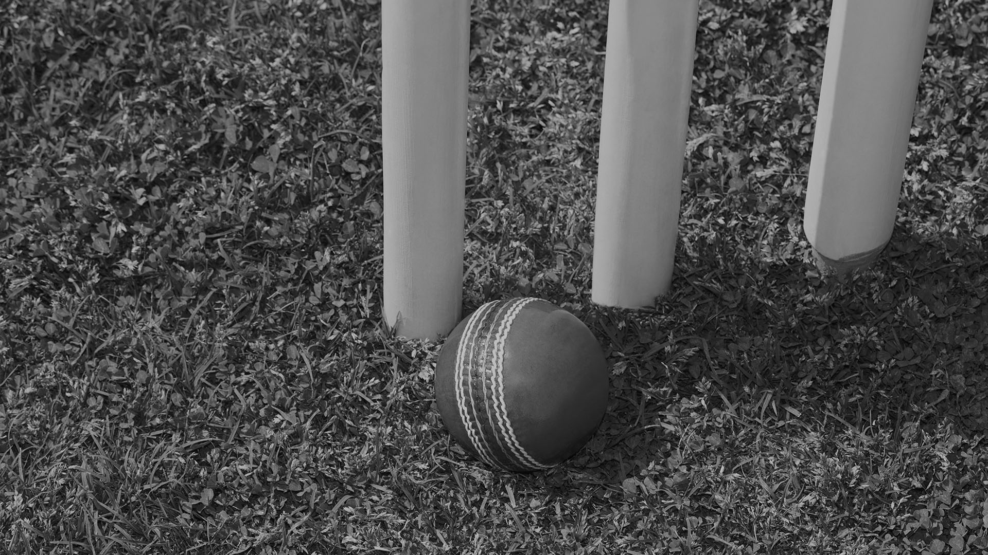 Wolverhampton Cricket Club – Wolverhampton Cricket Club